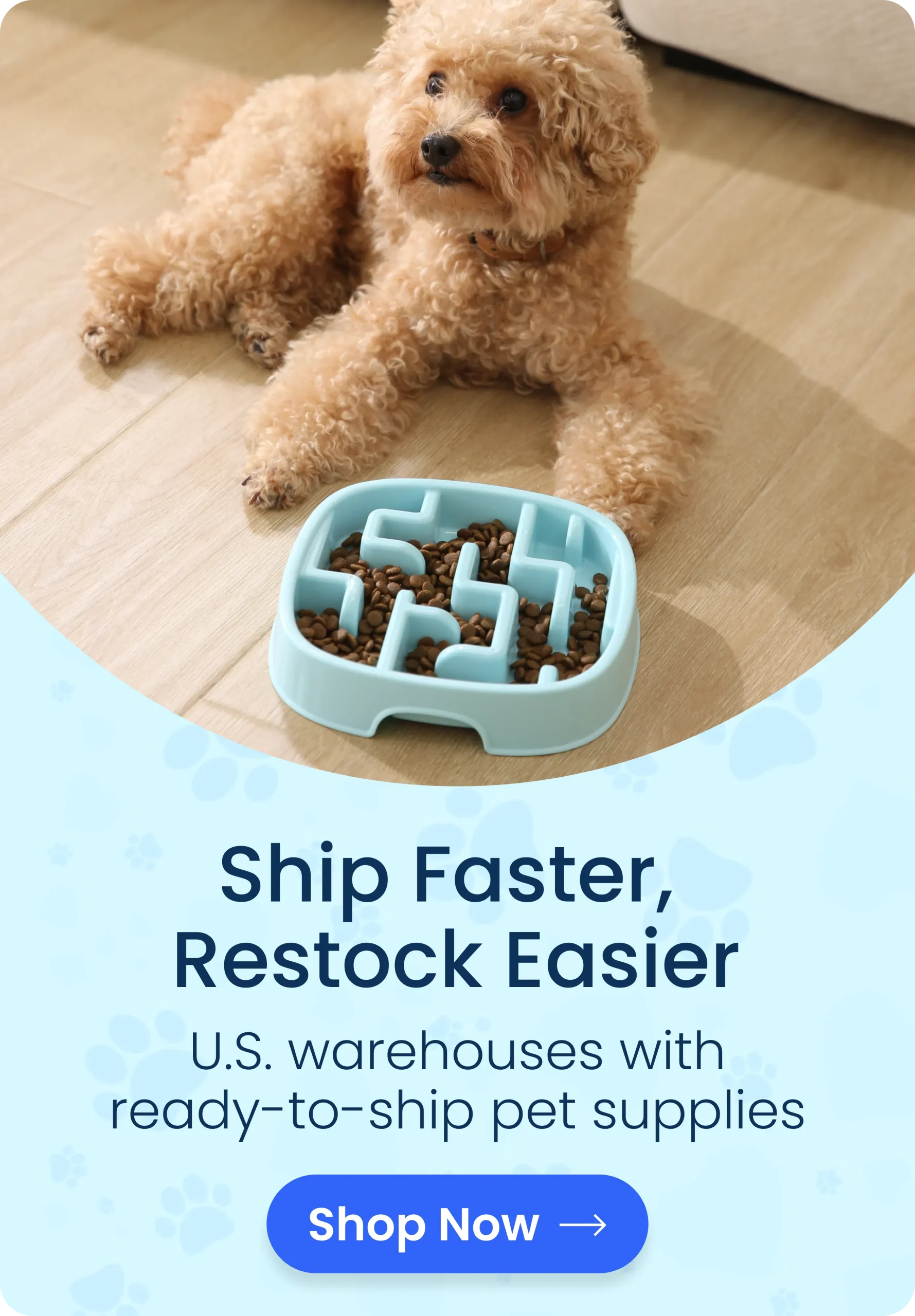 Wholesale Dog Toys for U.S. Pet Retailers | Bulk Dog Toys & Fast ...