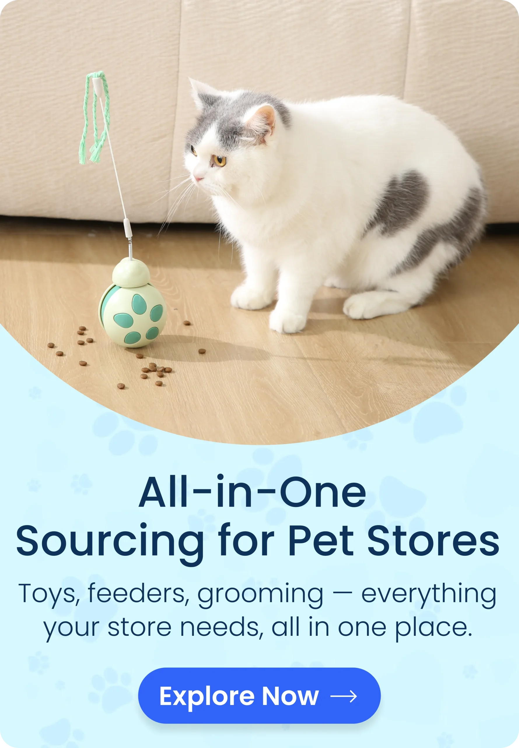Wholesale Dog Supplies for U.S. Pet Retailers | Factory Price & Local ...